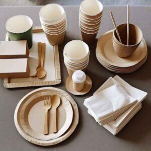 Sebio: Biodegradable Barrier Coating for Paper Packaging